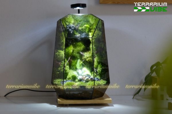 What is Terrarium? A Comprehensive Guide to Terrarium Art