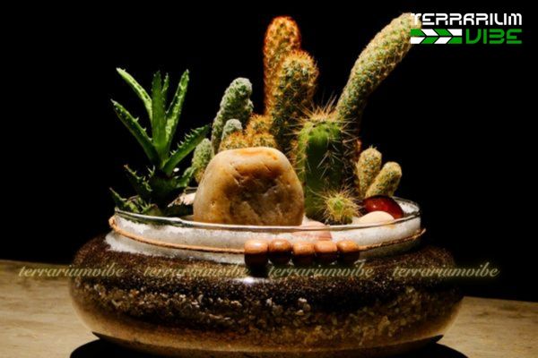 What is Terrarium? A Comprehensive Guide to Terrarium Art