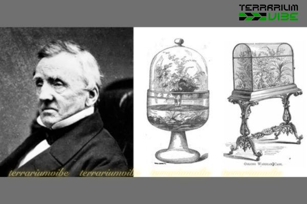 What is Terrarium? A Comprehensive Guide to Terrarium Art