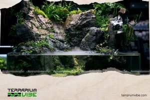 What Is a Vivarium? Explore a Miniature World That Recreates Nature in ...